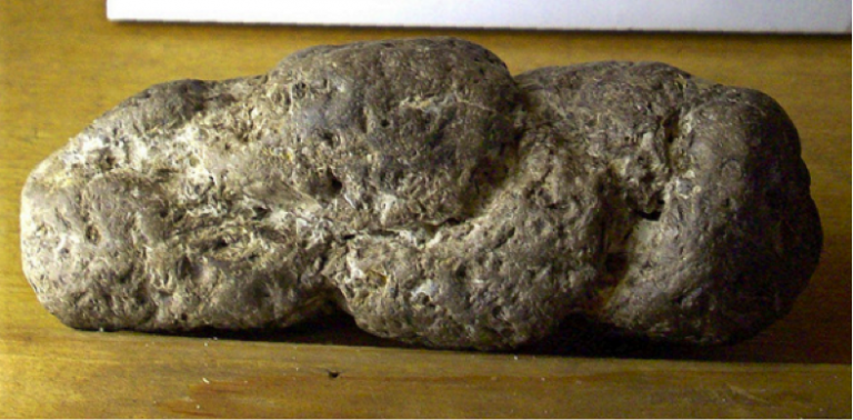 Dirty little secret about ancient Rome: Latest poop on the empire ...