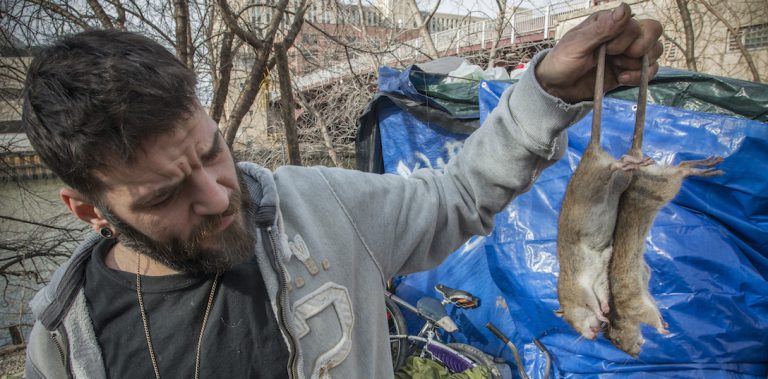 Chicago’s homeless fight a continuing war on rats - Medill Reports Chicago