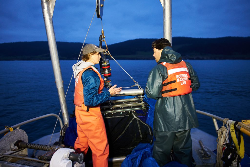 Tracking marine life on the edge of the Pacific - Medill Reports Chicago